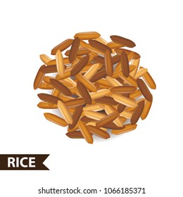 Rice Seed Vector Illustration: vector de stock (libre de regalías ...
