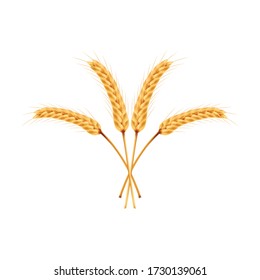 Rice Vector Wallpaper Free Space Text: เวกเตอร์สต็อก (ปลอดค่าลิขสิทธิ์ ...