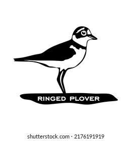 Ringed Plover Logo Isolated On White Stock Vector (Royalty Free ...