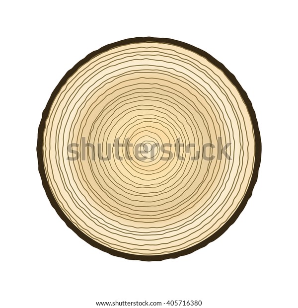 Rings On Tree Cut Tree Rings Stock Vector (Royalty Free) 405716380 ...