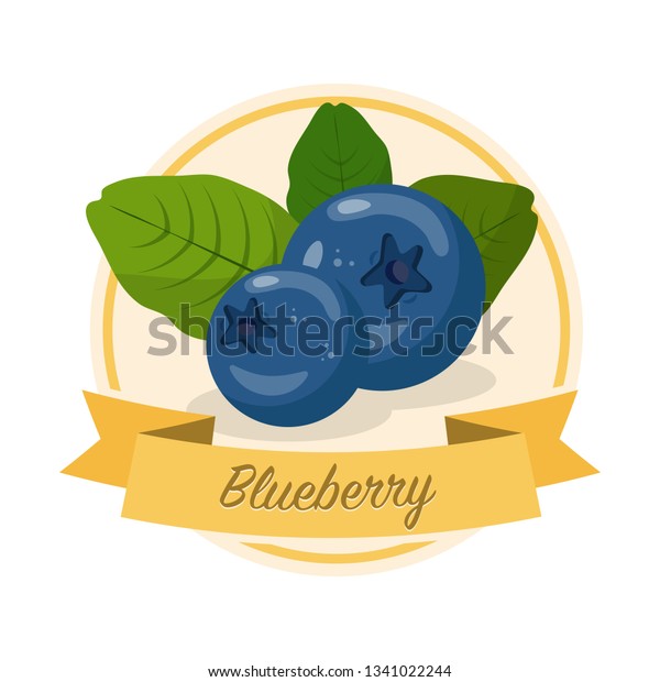 Ripe Blueberries Name Vector Illustration Organic Stock Vector (Royalty ...