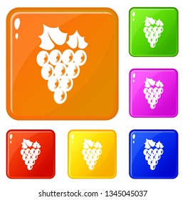 Varietal Grape Icons Set Collection Vector: vector de stock (libre de ...