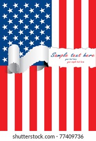Ripped Usa Flag Stock Vector (Royalty Free) 77409736 | Shutterstock