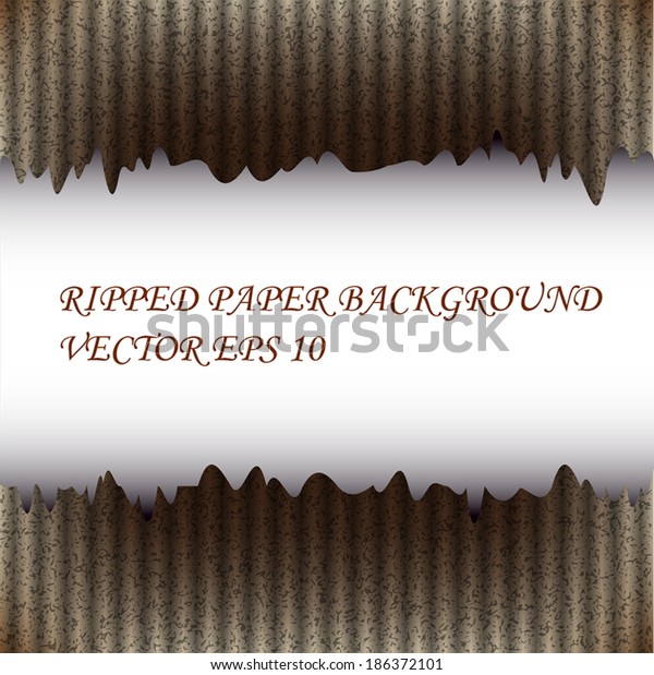 Ripped Vintage Paper Background Format Vector Stock Vector (Royalty ...