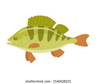 7,781 Perch underwater Images, Stock Photos & Vectors | Shutterstock