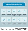 Rna Royalty-Free Images, Stock Photos & Pictures | Shutterstock