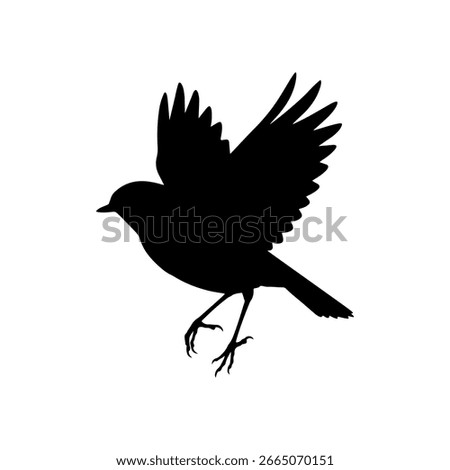 Robin Outline Drawing | Free download on ClipArtMag