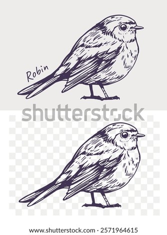 Robin Outline Drawing | Free download on ClipArtMag