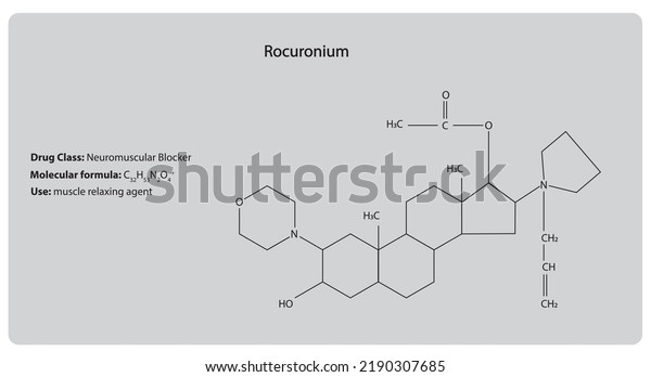Rocuronium Neuromuscular Blocker Chemical Structure Drug: เวกเตอร์สต็อก ...