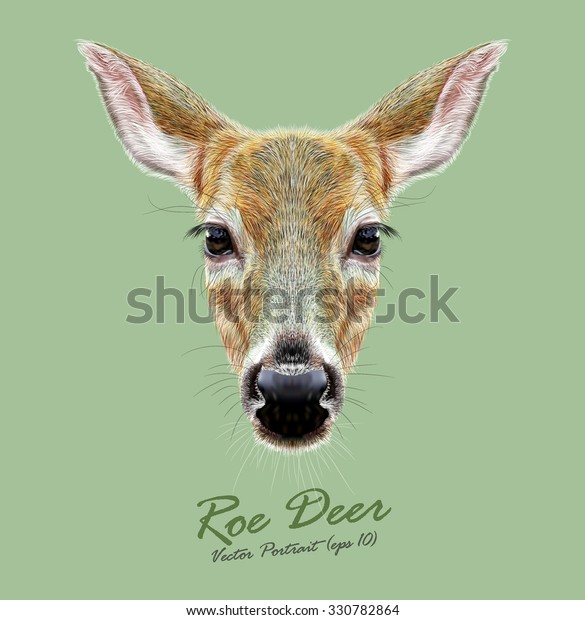 Roe Deer Wild Animal Face Vector Stock Vector (Royalty Free) 330782864 ...