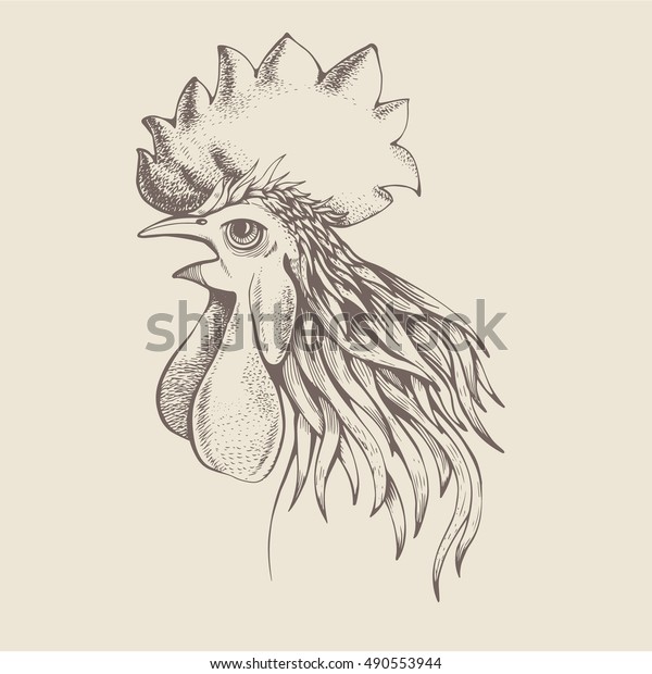 Rooster Fight Hand Drawing Illustration Drawn Stock Vector (Royalty ...