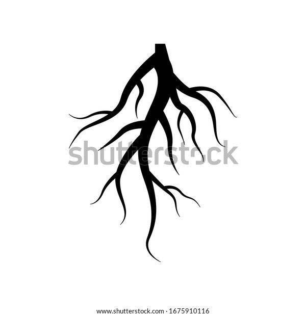 Root Graphic Design Template Vector Isolated Stock Vector (Royalty Free ...