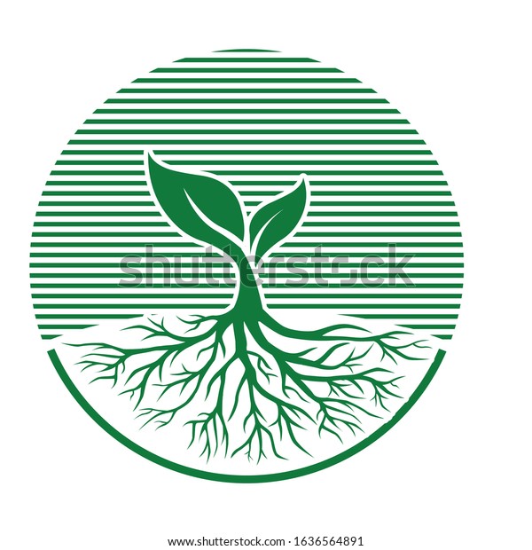 Root Plant Logo Sprout Green Minimal Stock Vector (Royalty Free ...