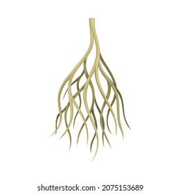 427 Rootstalks Images, Stock Photos & Vectors | Shutterstock