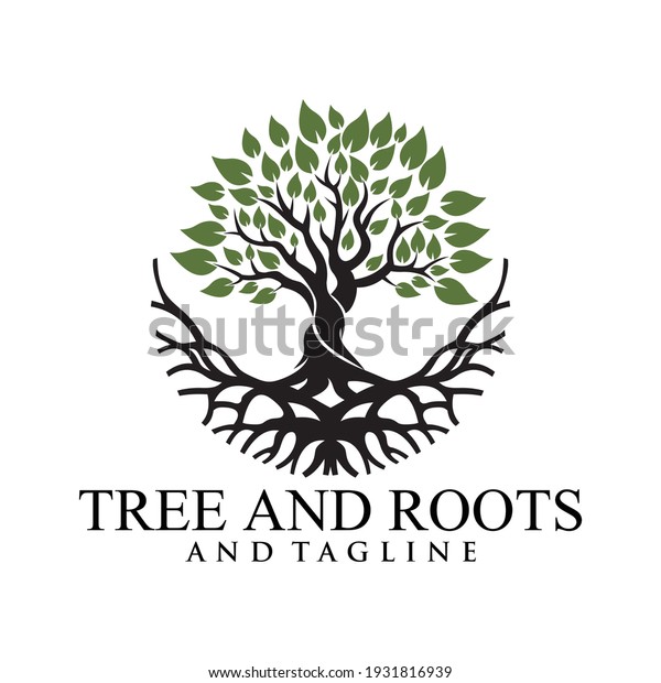Tree Root Logo