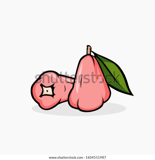 Rose Apple Vector Illustration Isolated All Stock Vector (Royalty Free ...