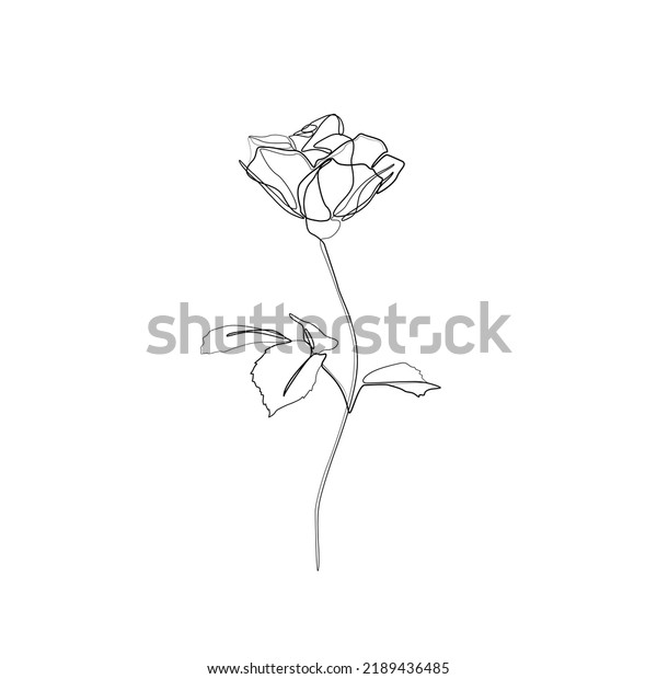 Rose Continuous Line Drawing Tattoo Print Stock Vector (Royalty Free ...