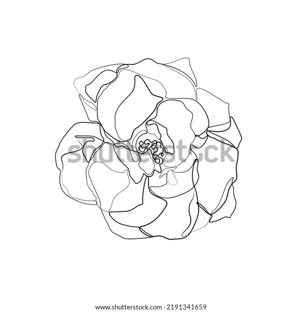 Rose Continuous Line Drawing Tattoo Print Stock Vector (Royalty Free ...