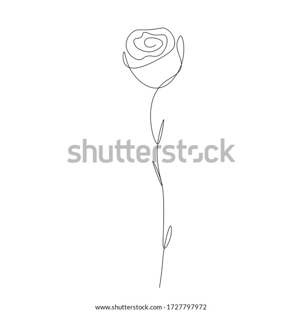 Rose Flower Background Line Drawing Vector Stock Vector (Royalty Free ...