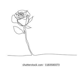 Rose Flower Line Drawing Style Art Stock Vector (Royalty Free ...