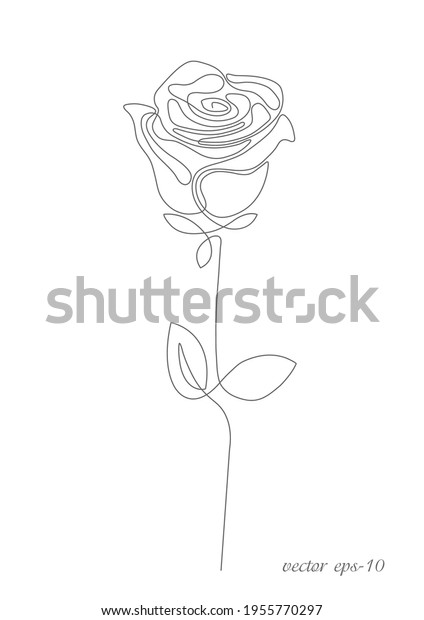 Rose Flower Line Drawing Roseline Arthand Stock Vector (Royalty Free ...