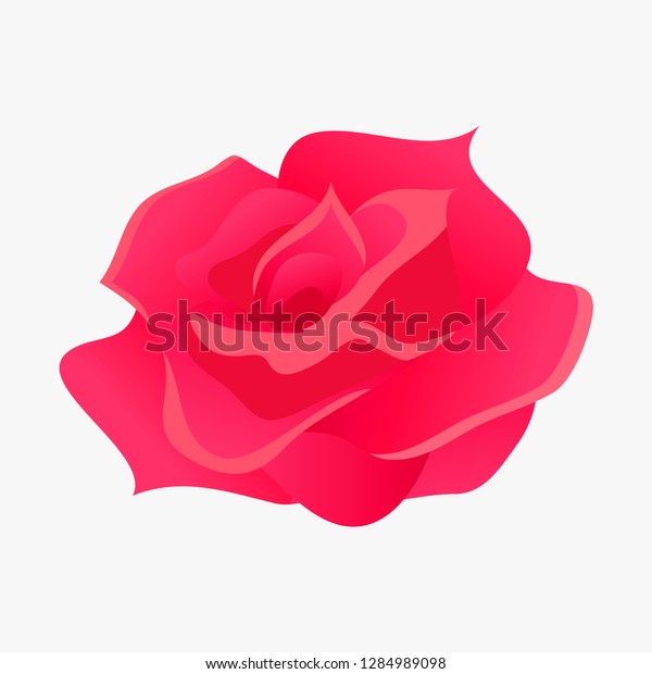 Rose Flower Vector Illustration Eps 10 Stock Vector (Royalty Free ...