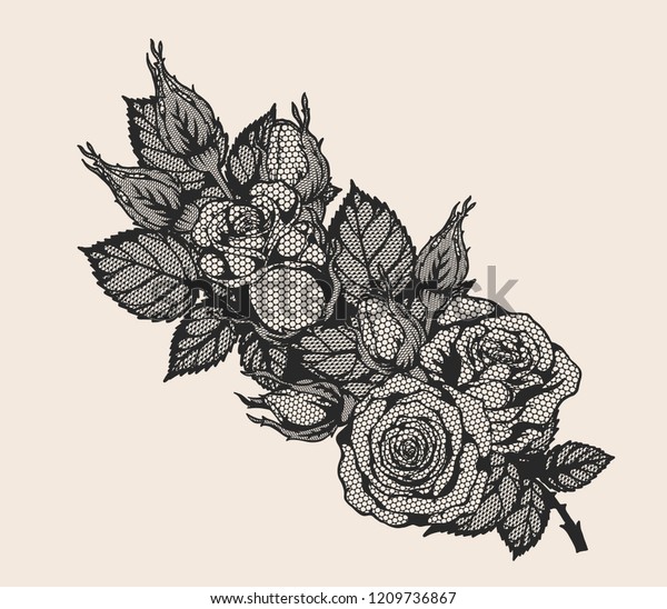 Rose Lace Vector By Hand Drawingbeautiful Stock Vector (Royalty Free ...