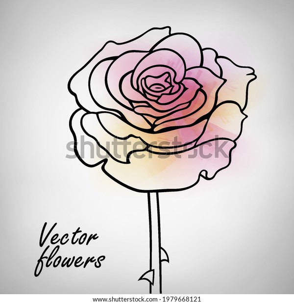 Rose Line Art Vector Hand Drawn Stock Vector (Royalty Free) 1979668121 ...