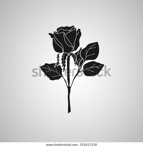 Rose Symbols Decorative Vector Illustration Stock Vector (Royalty Free ...