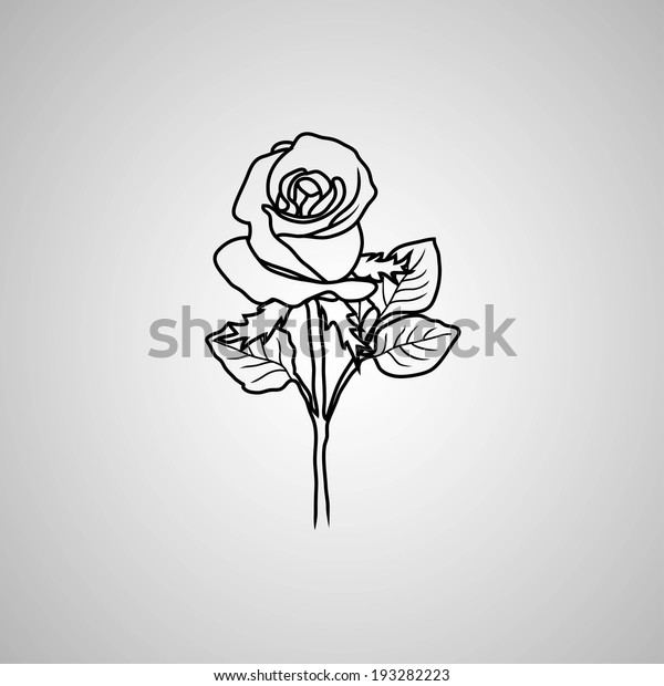 Rose Symbols Decorative Vector Illustration Stock Vector (Royalty Free ...