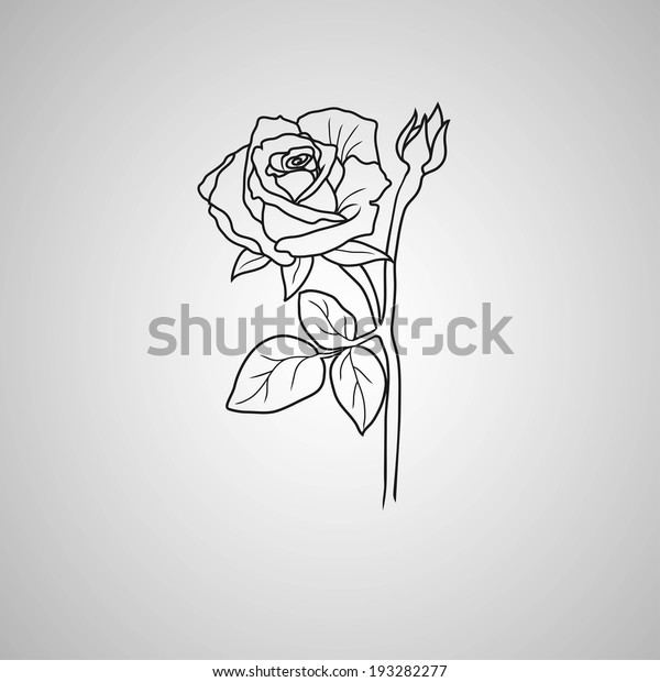 Rose Symbols Decorative Vector Illustration Stock Vector (Royalty Free ...