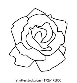 Rose That Has No Red Color Stock Vector (Royalty Free) 1726491808 ...