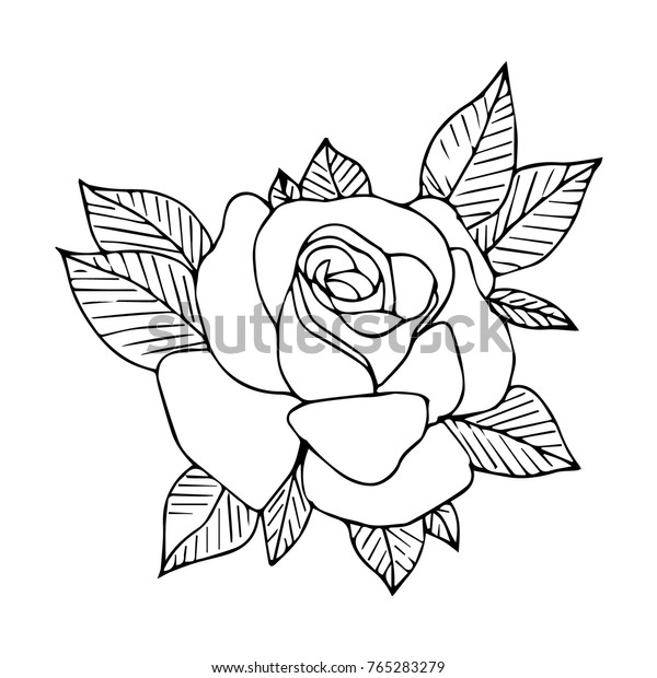 Rose Vector Illustration Doodle Style Design Stock Vector (Royalty Free ...