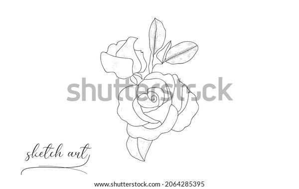 Rose Vector Sketch Illustration Design Stock Vector (Royalty Free ...
