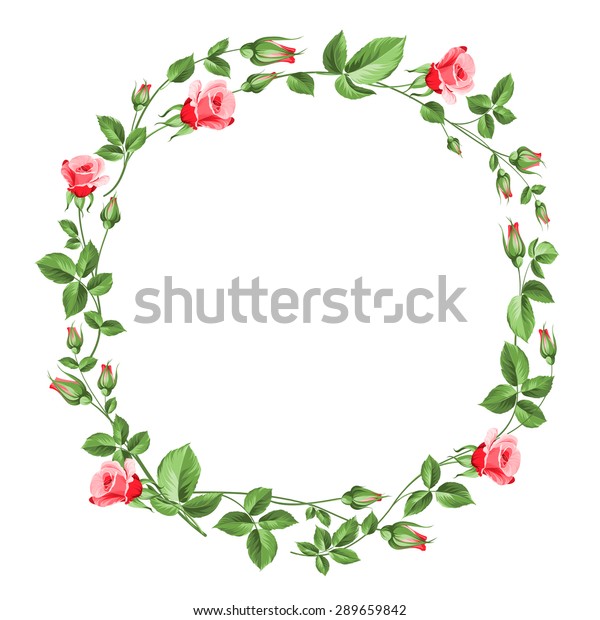 Rose Wreath Isolated On White Vector Stock Vector (Royalty Free) 289659842