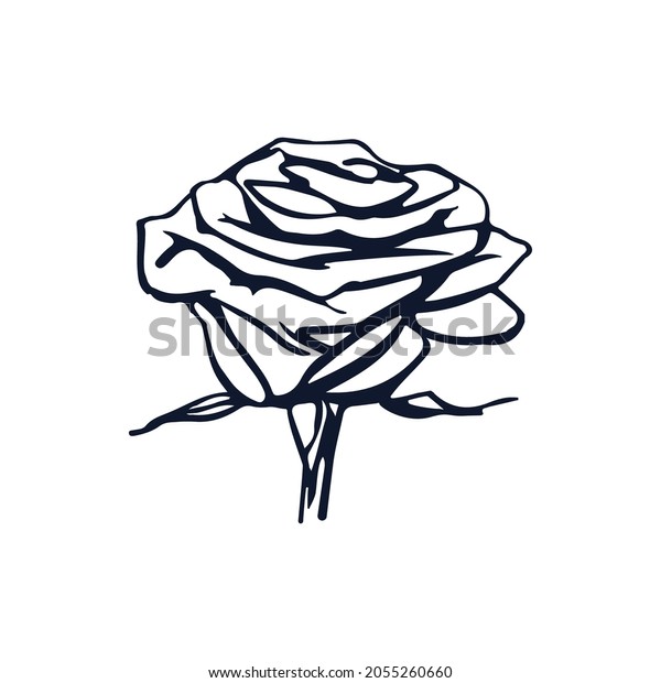 Rosebud Vector Rose Illustration Rose Stock Vector (Royalty Free ...
