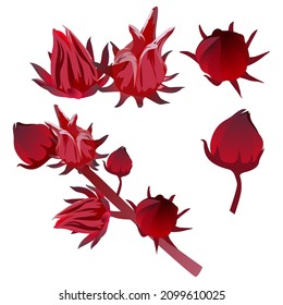 532 Roselle pattern Images, Stock Photos & Vectors | Shutterstock