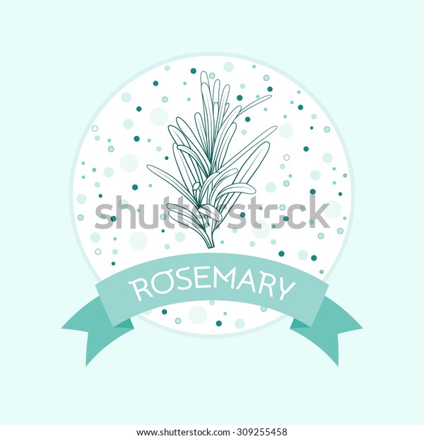 Rosemary Label Ribbon Stock Vector (Royalty Free) 309255458 | Shutterstock