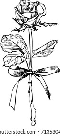 Roses Tied Ribbon Stock Illustration 75163603 | Shutterstock