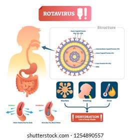 Rotavirus Vector Illustration Labeled Stomach Medical Stock Vector ...