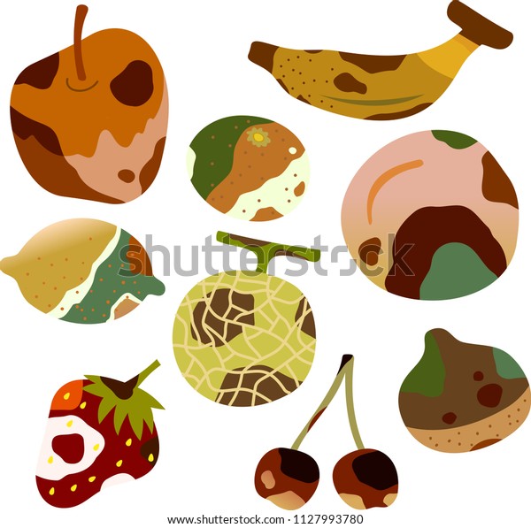Rotten Fruit Illustration Set Stock Vector (Royalty Free) 1127993780 ...