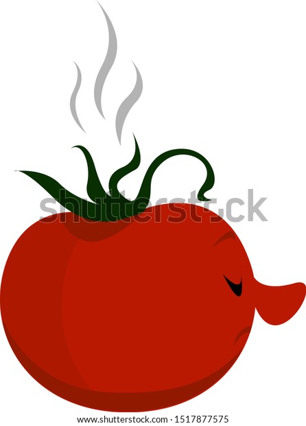 Rotten Tomato Illustration Vector On White Stock Vector (Royalty Free ...