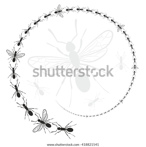 Round Frame Ants Stock Vector (Royalty Free) 418821541 | Shutterstock