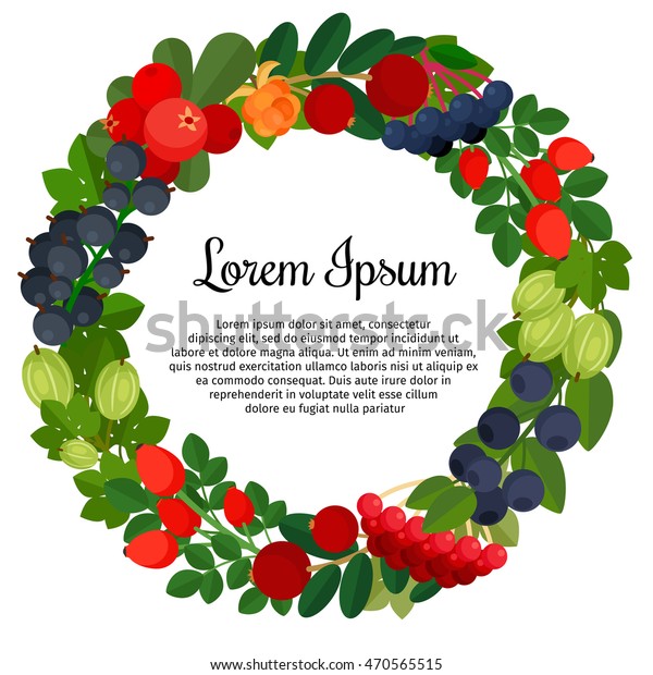 Round Frame Different Berries Stock Vector (Royalty Free) 470565515