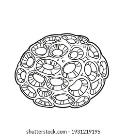Round Sponge Coloring Book Linear Drawing Stock Vector (Royalty Free ...