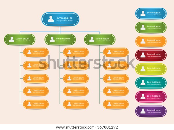 Rounded Rectangle Organization Chart Infographics People Stock Vector ...