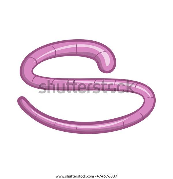 Roundworm Icon Cartoon Style On White Stock Vector (Royalty Free) 474676807