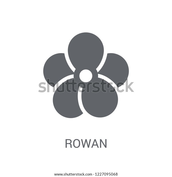Rowan Icon Trendy Rowan Logo Concept Stock Vector (Royalty Free ...