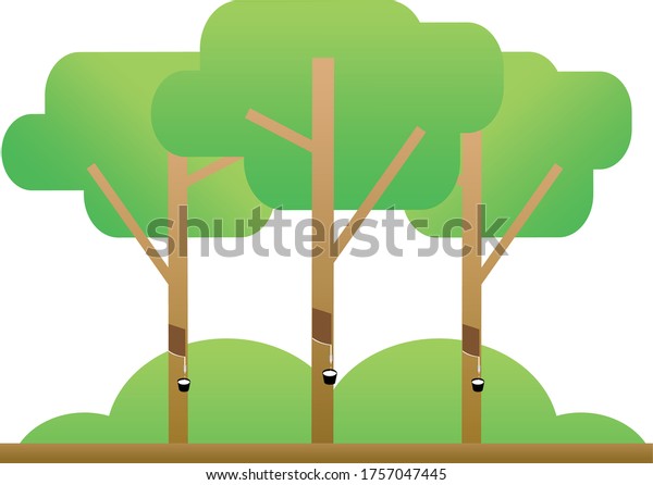 Rubber Tree Jungle Flat Style Isolated Stock Vector (Royalty Free ...