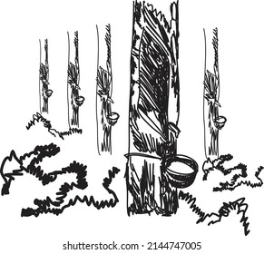 Tree Sap Clipart